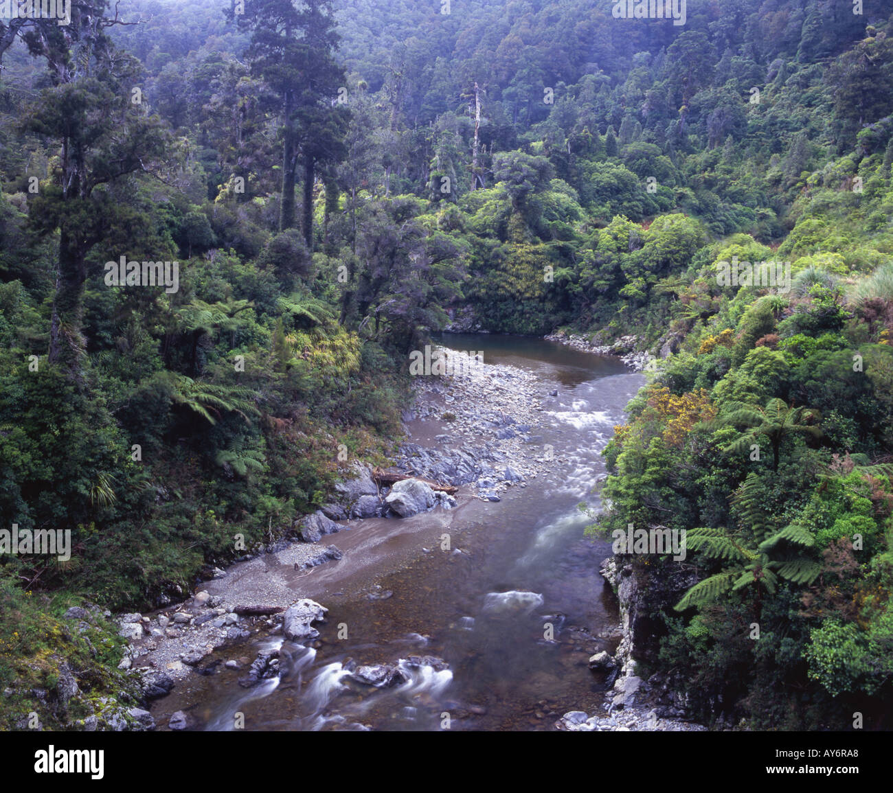 The Hutt River in Kaitoke Regional Park North Island New Zealand Stock ...