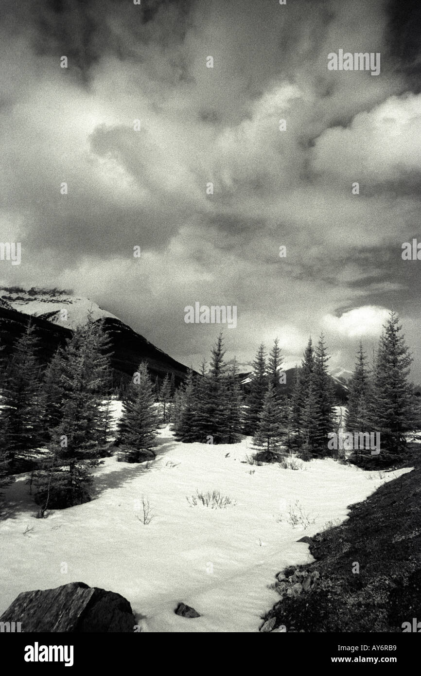 Canadian winter is tough hi-res stock photography and images - Alamy