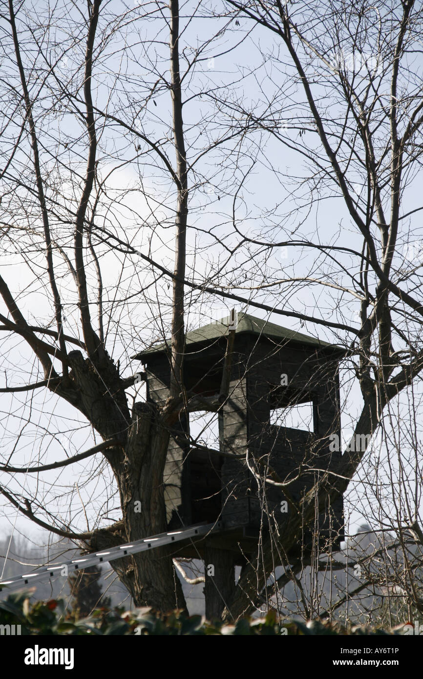 one tree house in countryside Stock Photo - Alamy