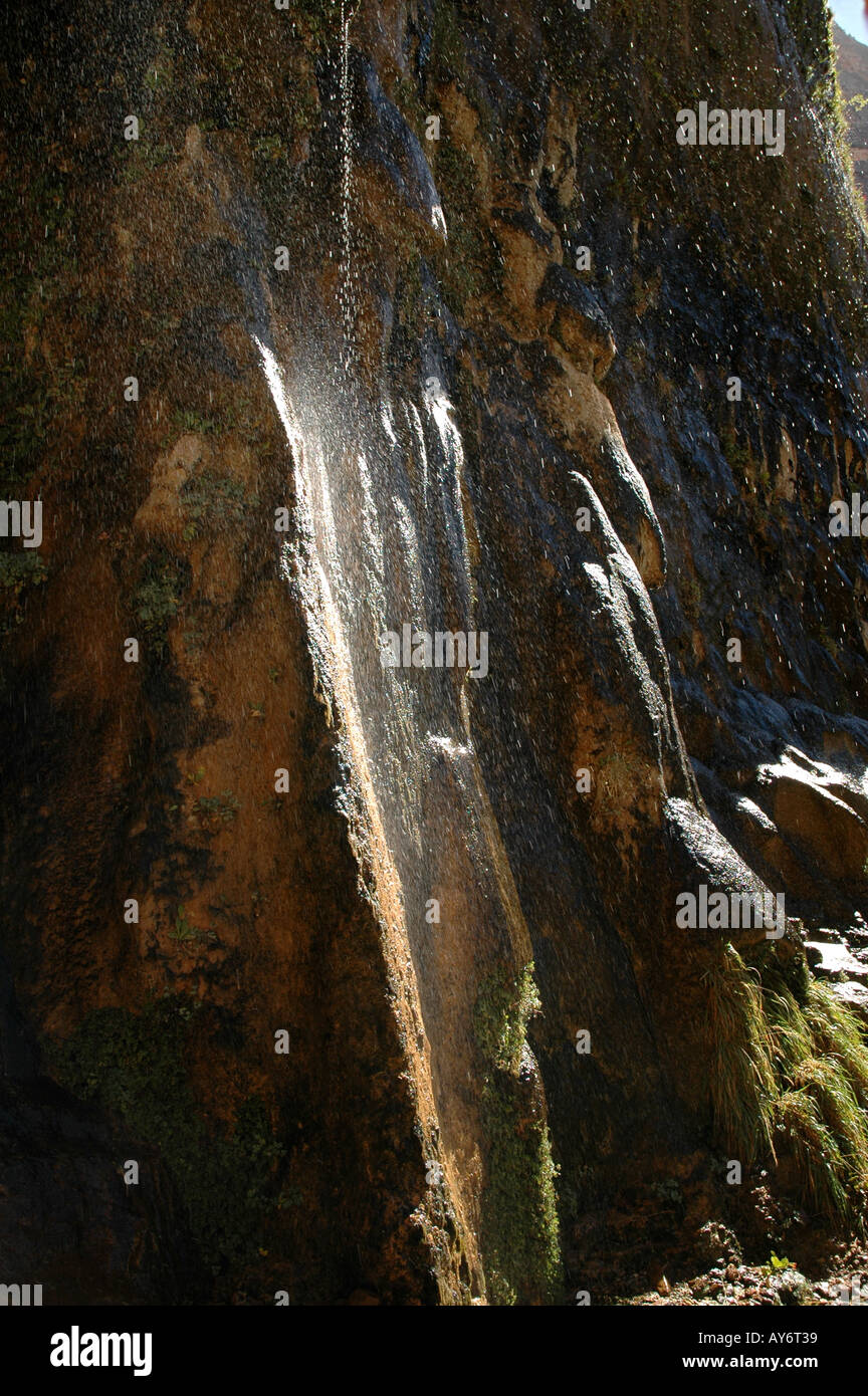 utah zion national park weeping rock travel tourism geology colorful ...
