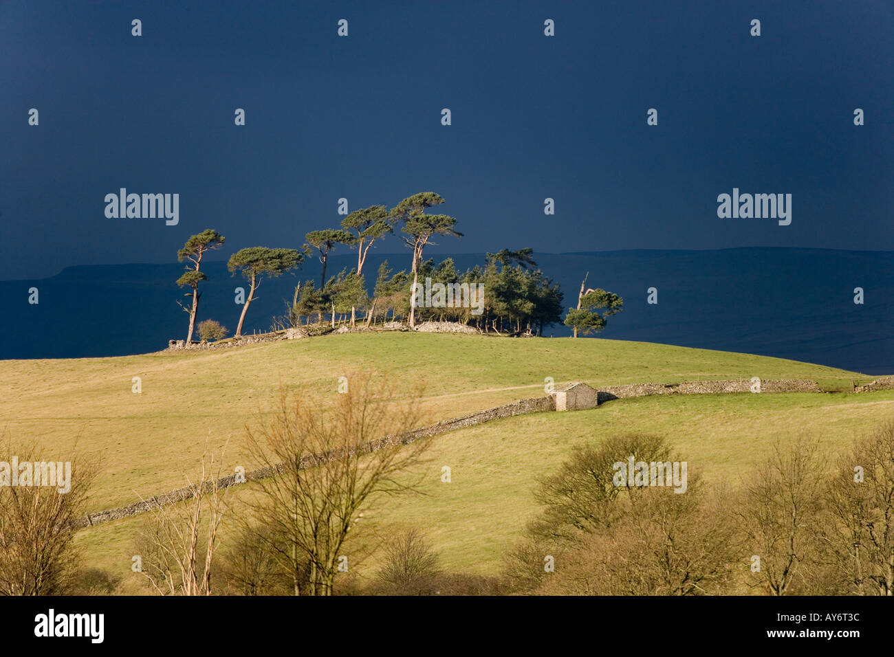 Landscape near Askrigg Wensleydale North Yorkshire UK England Stock ...
