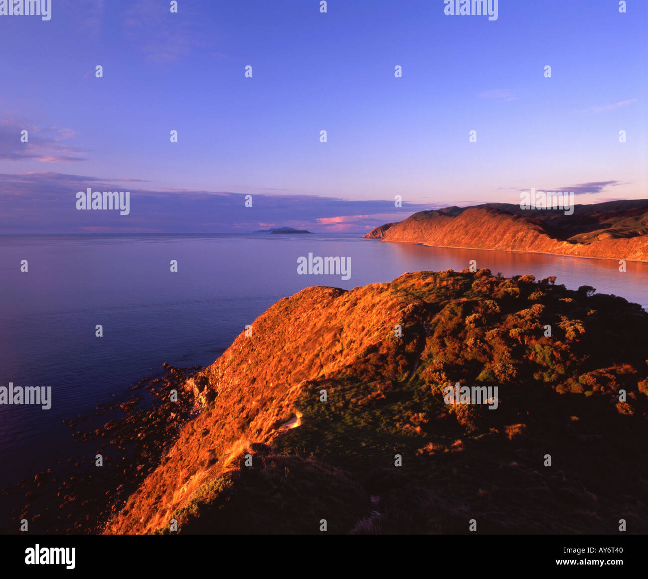 Opau Bay at Makara Beach North Island New Zealand Stock Photo - Alamy