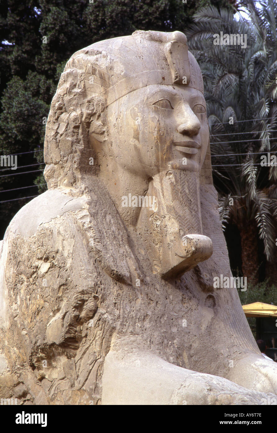 Sphinx position hi-res stock photography and images - Alamy