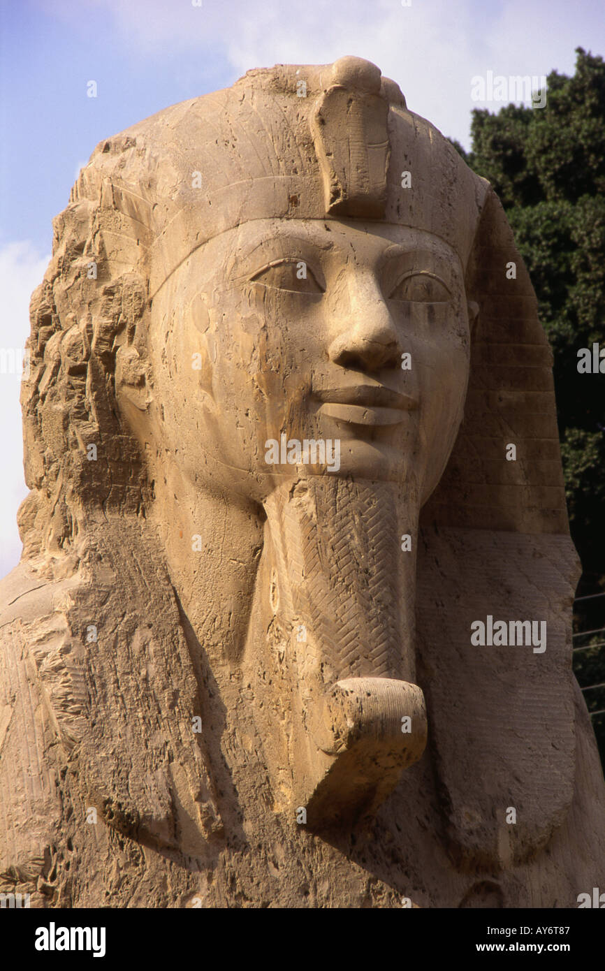 Sphinx position hi-res stock photography and images - Alamy