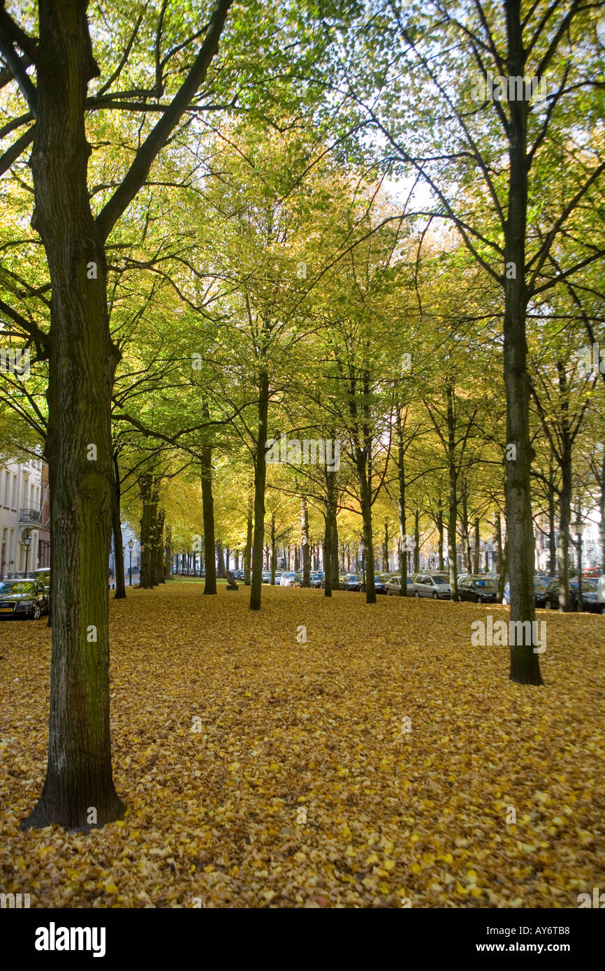 Den Haag The Hague central business district Holland Netherlands Europe ...