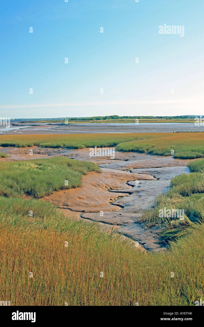 The minas basin salt marsh, bay of fundy, nova scotia, canada Stock ...
