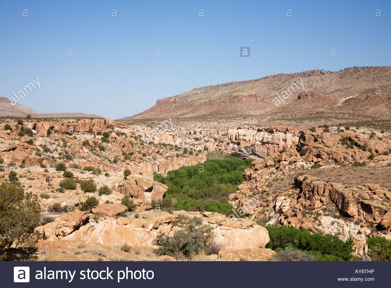 Desert Riparian High Resolution Stock Photography and Images - Alamy