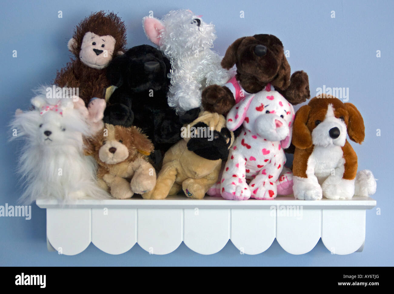 Collection of stuffed animals hi-res stock photography and images - Alamy