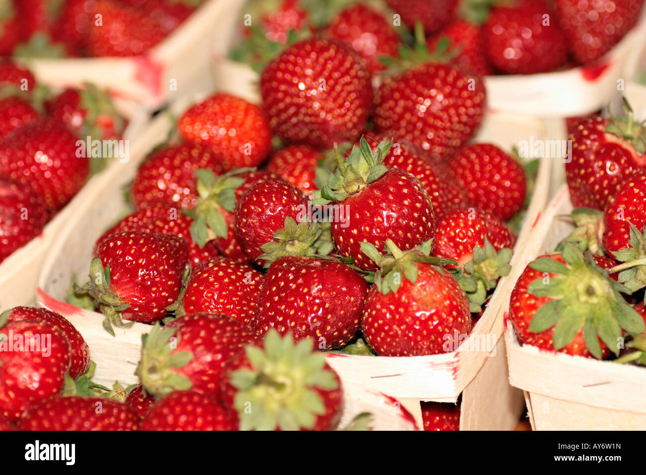 quarts of strawberries for sale Stock Photo - Alamy