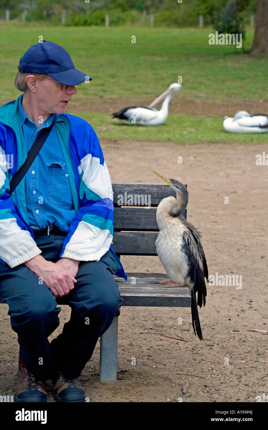 Man talks to bird hi-res stock photography and images - Alamy