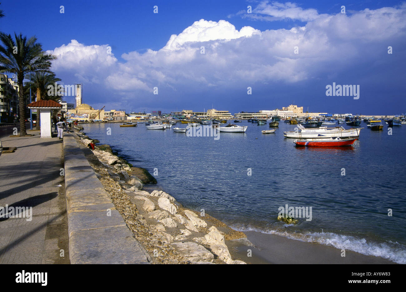 Panoramic View of Mediterranean Sea Alexandria Arab Republic of Egypt ...