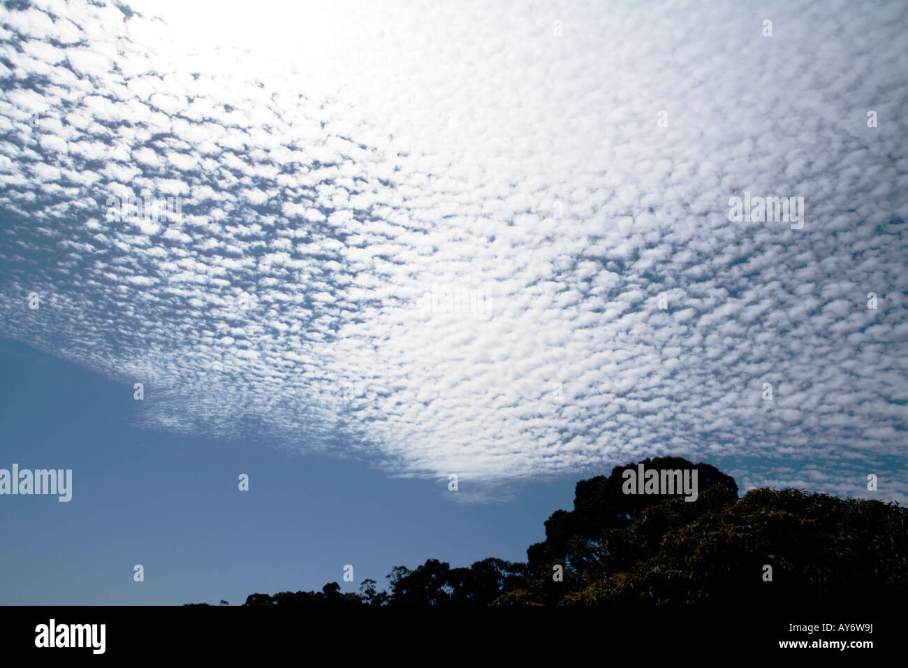 Cirrostratus cloud stratiform hi-res stock photography and images - Alamy