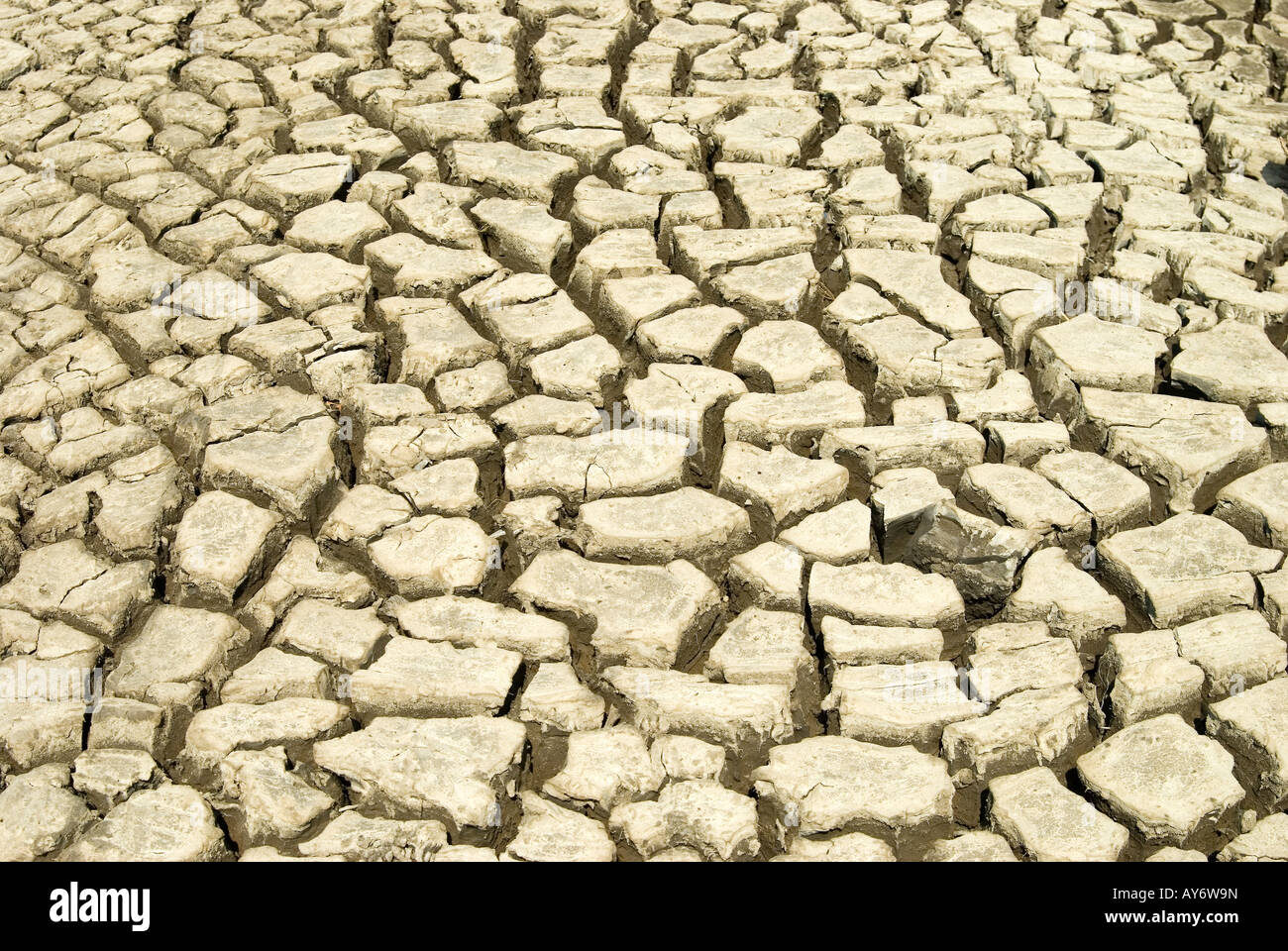 Dry river bed in Thailand Stock Photo - Alamy