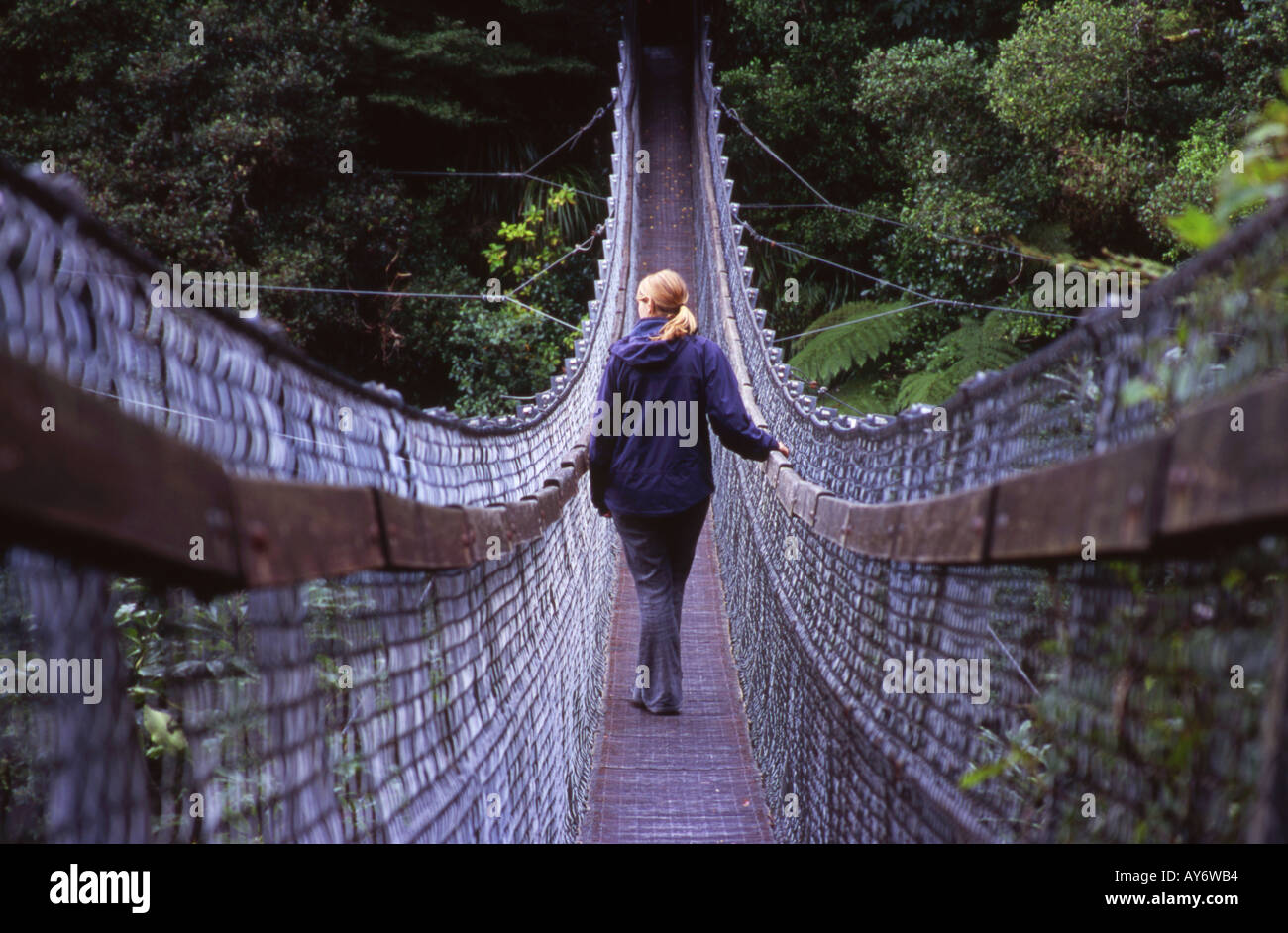 Female Walking across Cable Bridge over the Hutt River in Kaitoke ...