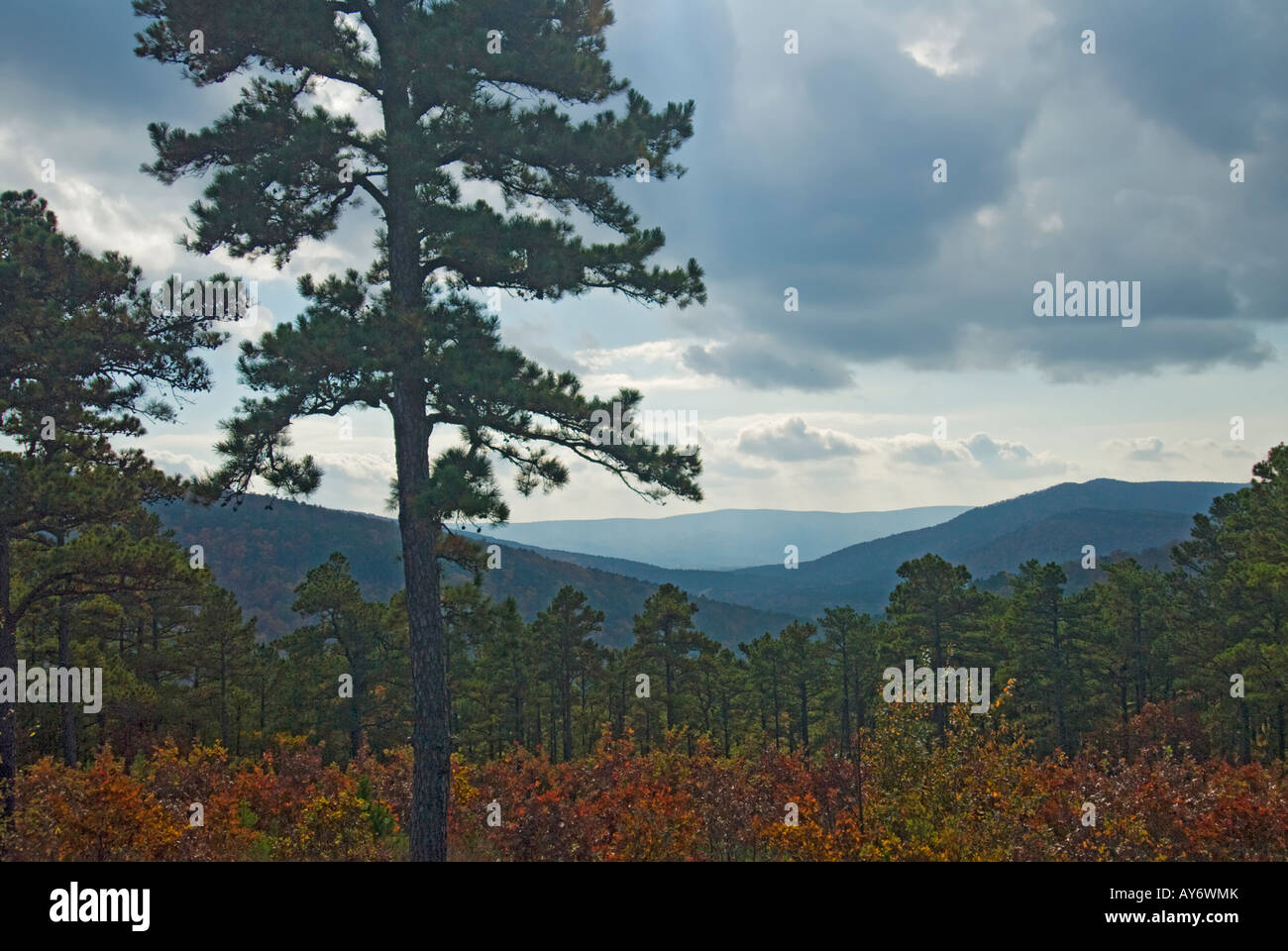 Talimena national scenic byway hi-res stock photography and images - Alamy