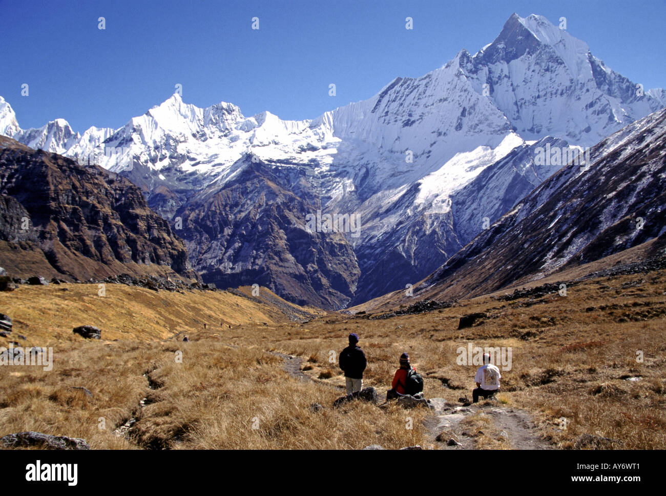 Machhapuchhare base camp hi-res stock photography and images - Alamy