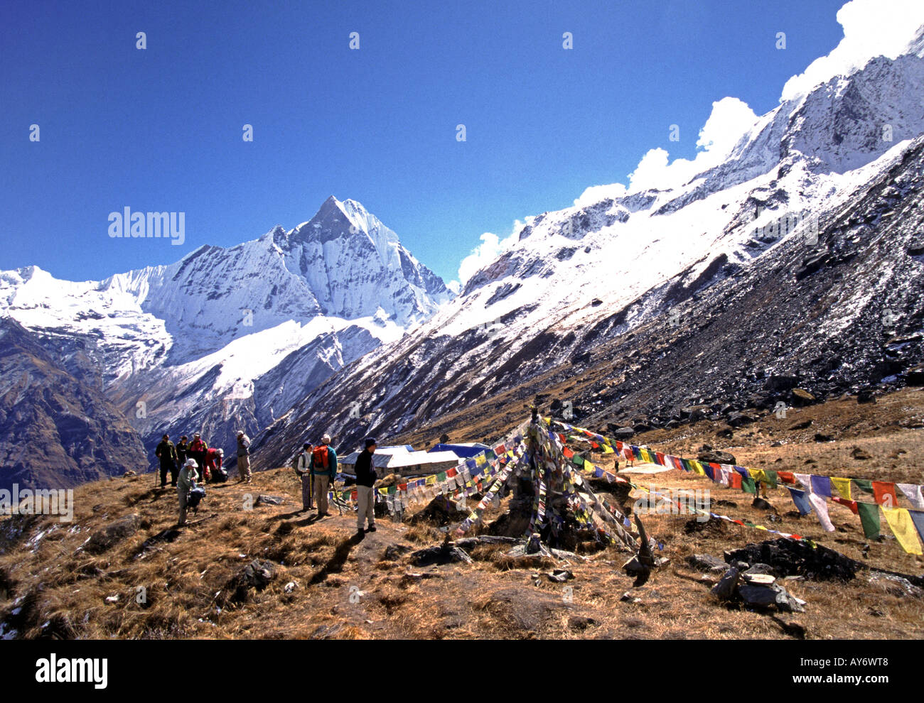 Machhapuchhare Base Camp High Resolution Stock Photography and Images ...