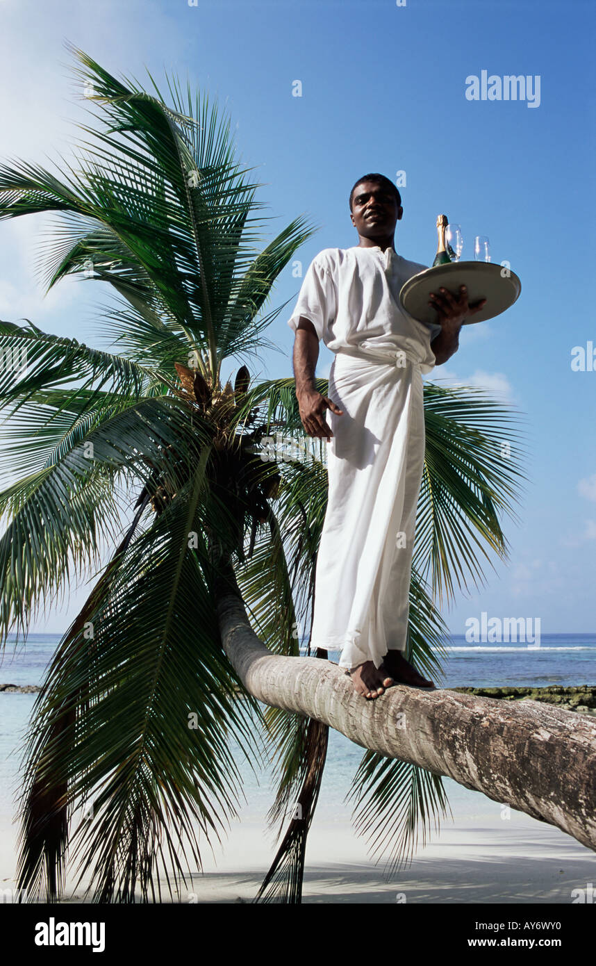 Waiter standing on palm tree with drinks Stock Photo - Alamy