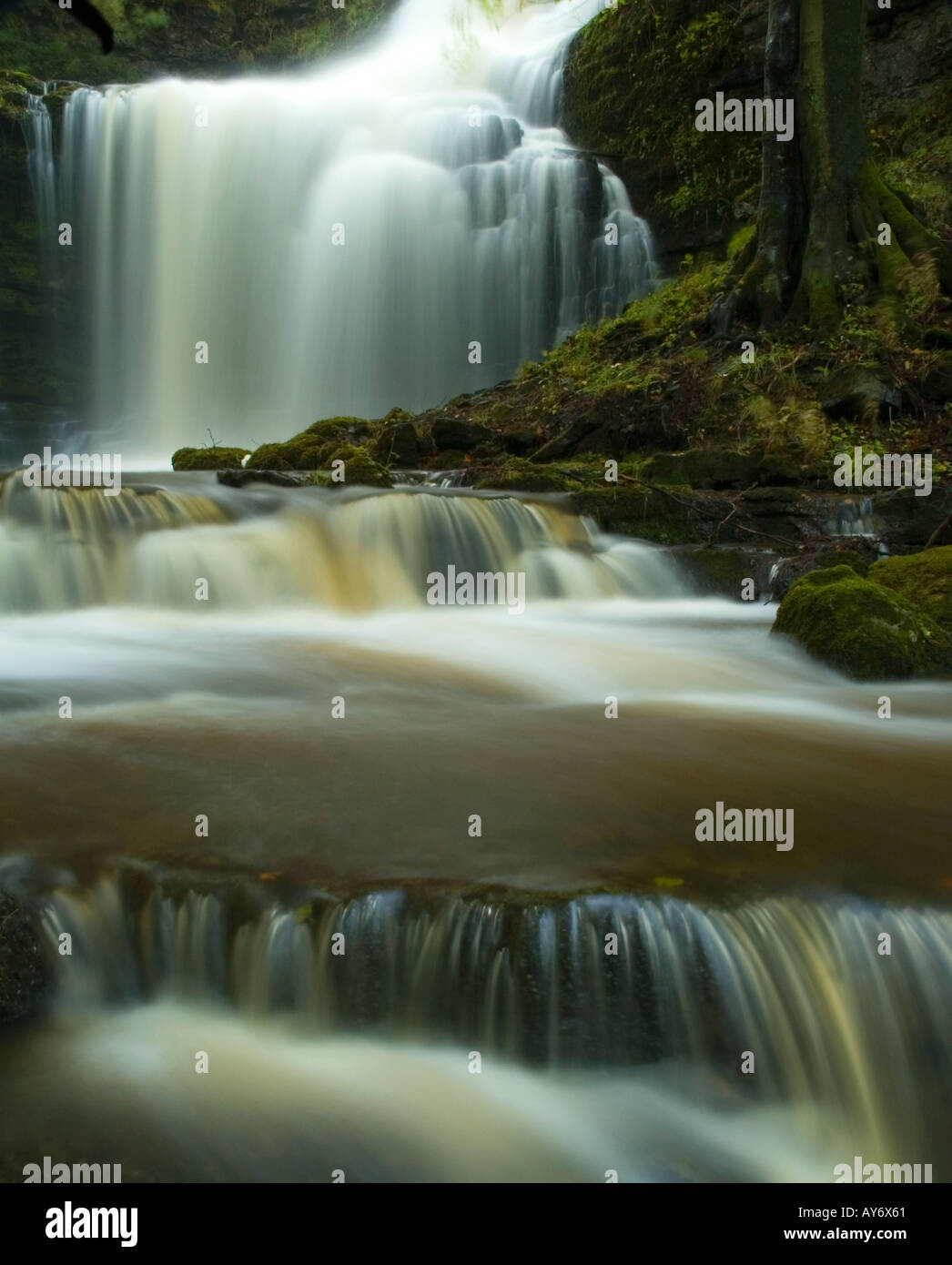 Scaleber Force Waterfall Near Settle North Yorkshire UK Stock Photo - Alamy