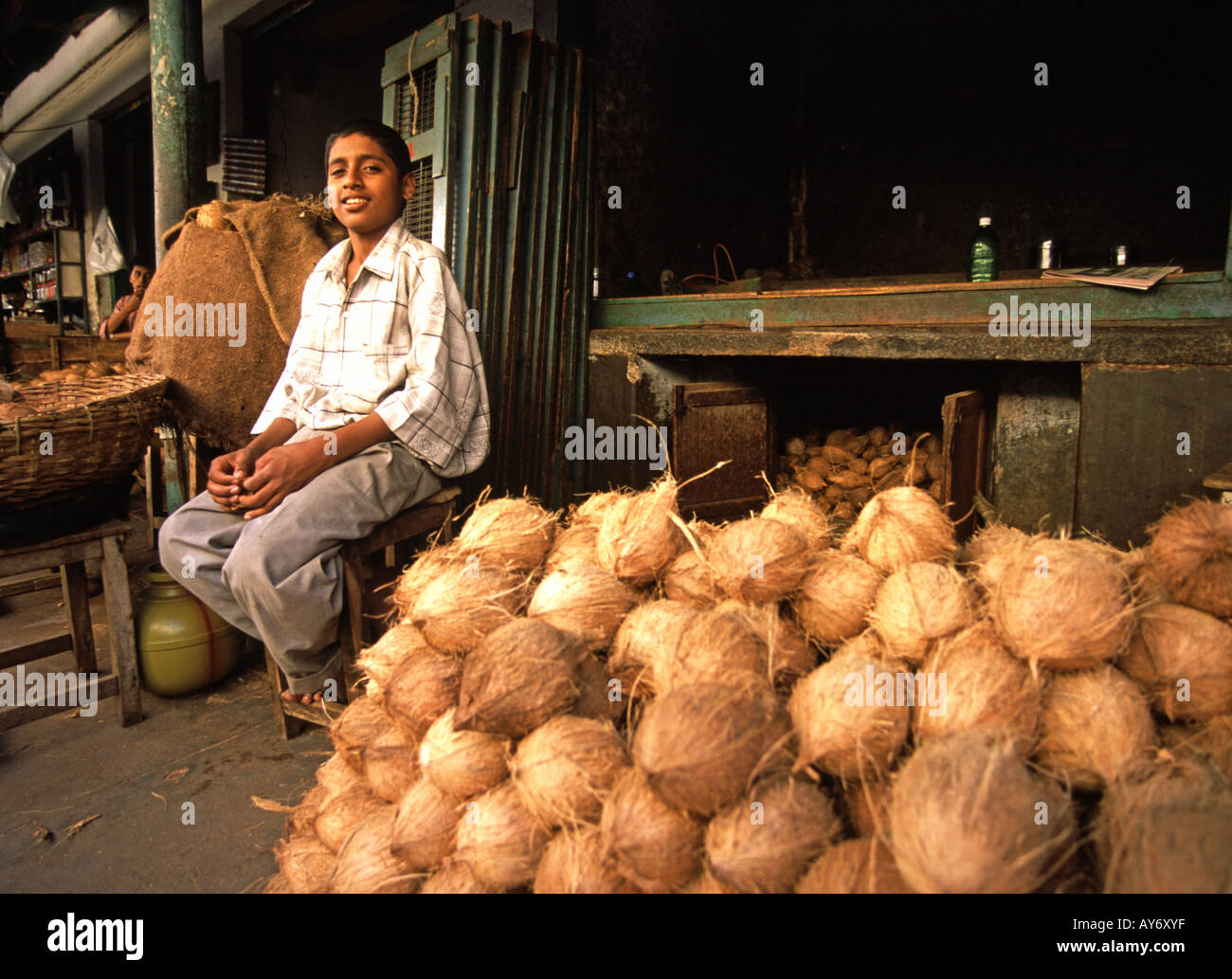 Boy selling coconuts an a market stall in Mysore India Stock Photo - Alamy