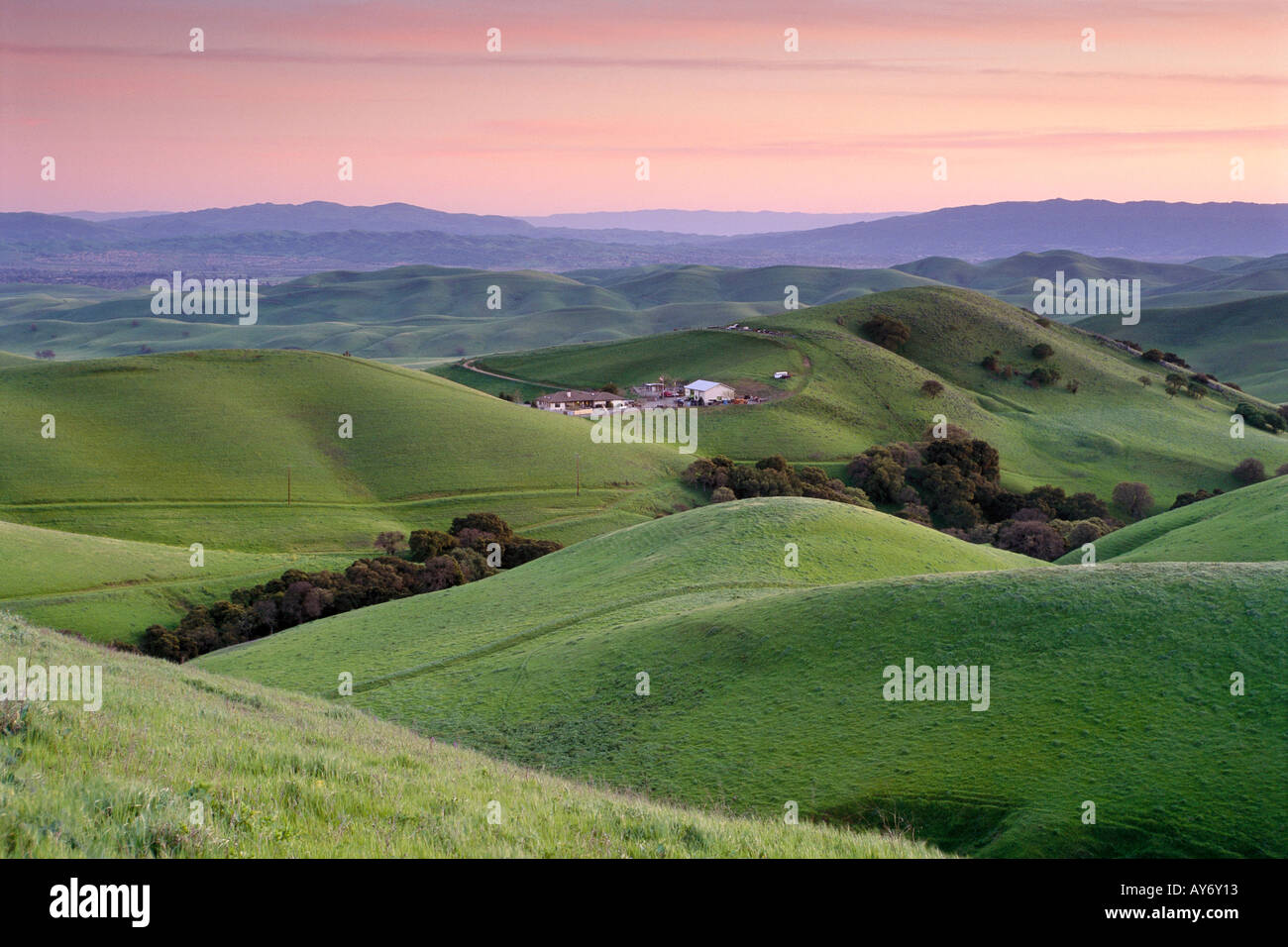 large dairy ranch showing grass and pastures of the East Bay Area in ...