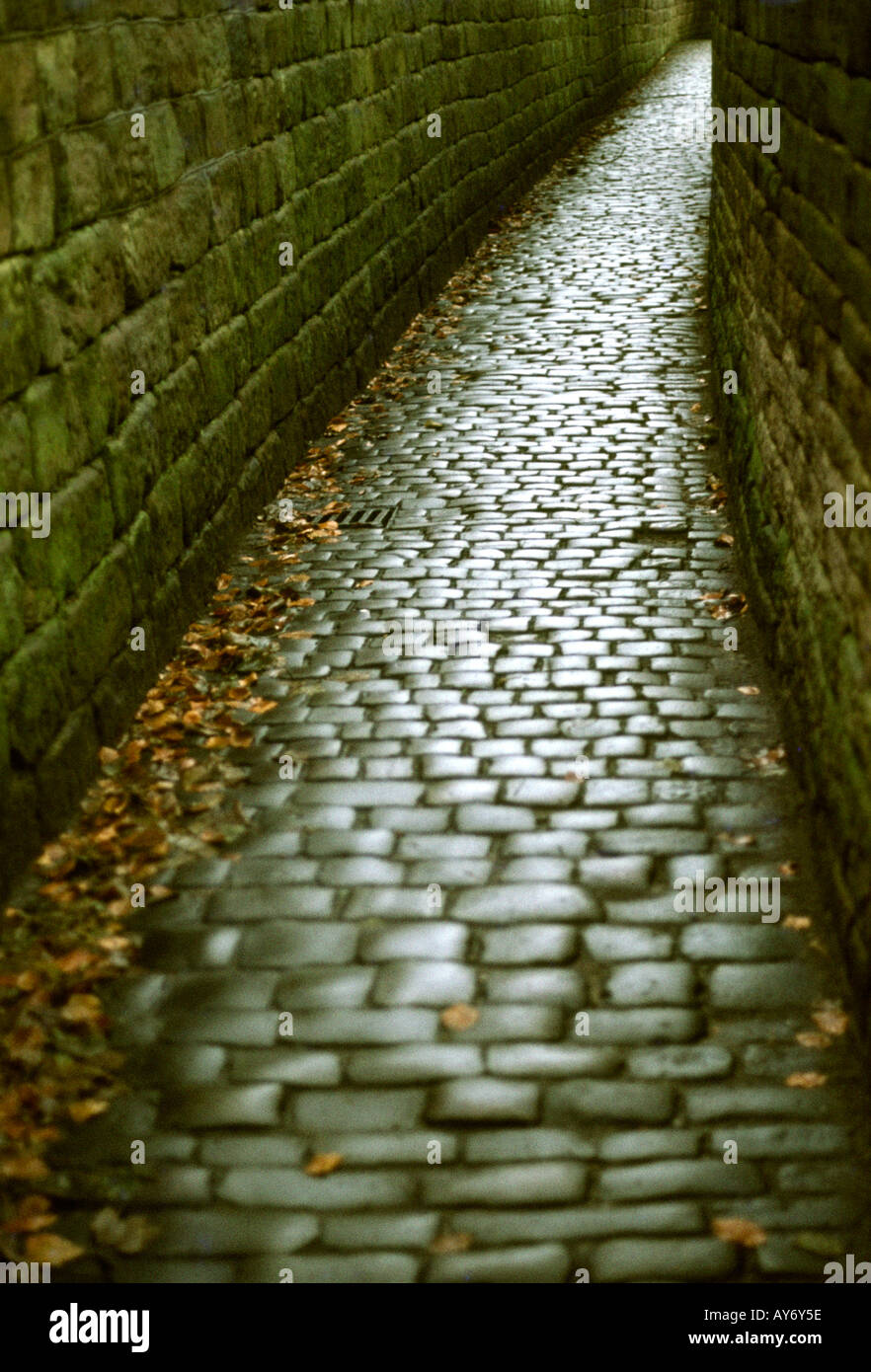 Cheshire Congleton wet cobbled path Stock Photo - Alamy