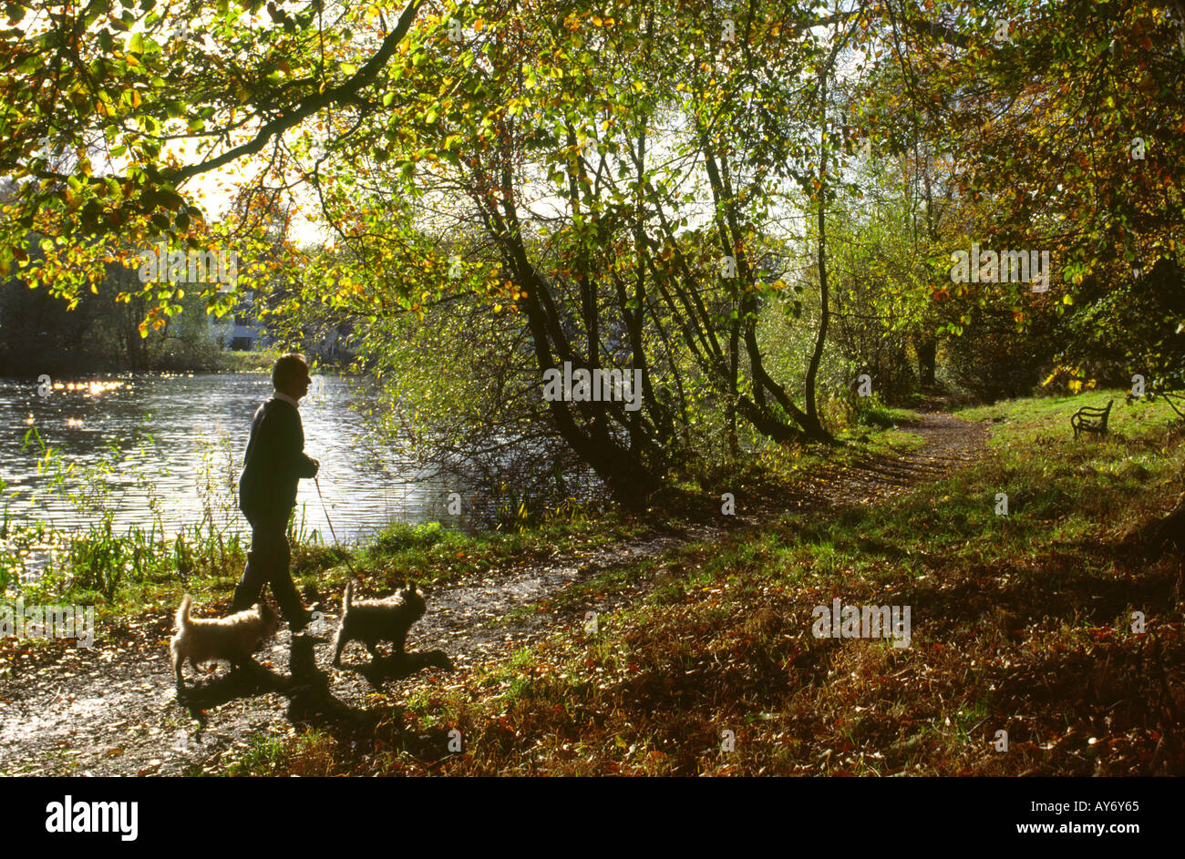 Poynton pool cheshire hi-res stock photography and images - Alamy