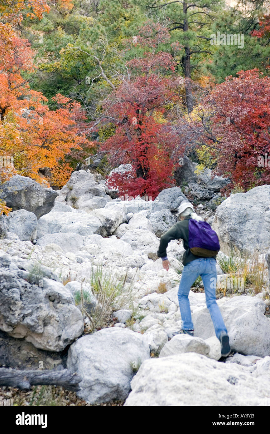 Woman hiking in autumn in Guadalupe Mountains National Park situated in ...