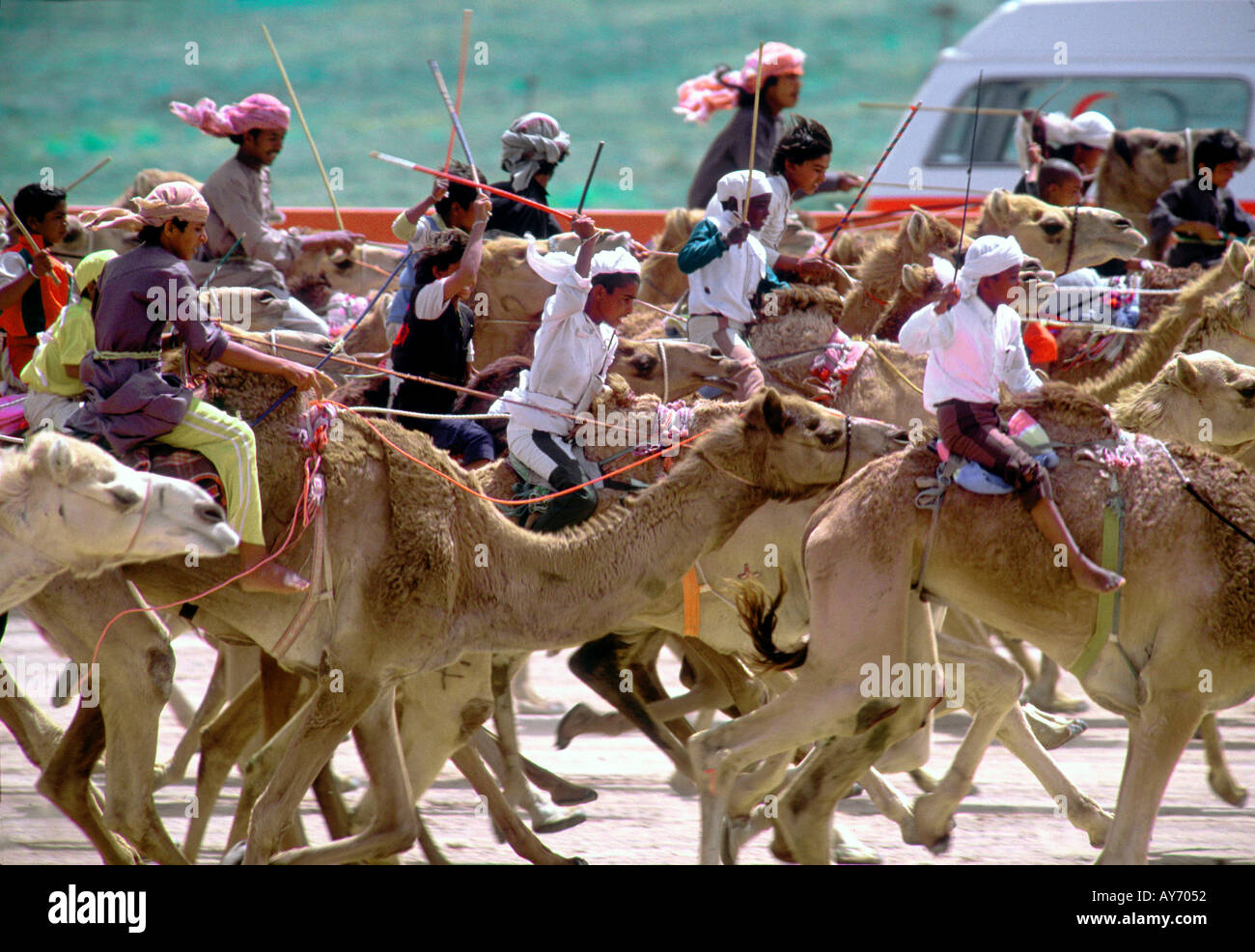 Camel Racing Abu Dhabi High Resolution Stock Photography and Images - Alamy