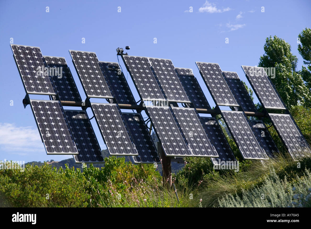 solar panels gathering sunlight as energy natural Stock Photo - Alamy