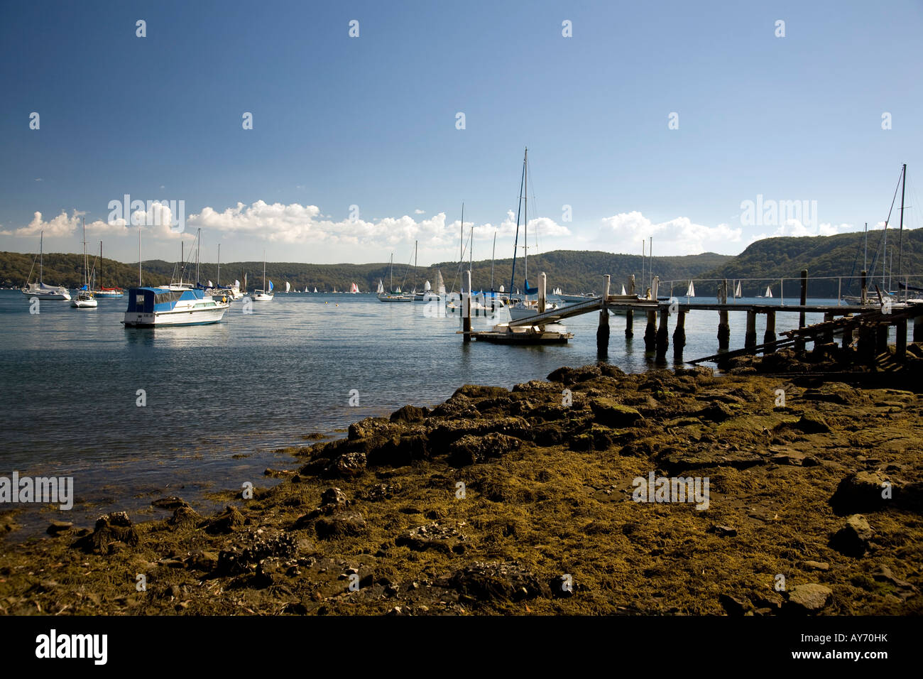Paradise beach and Pittwater , Sydney Australia Stock Photo - Alamy