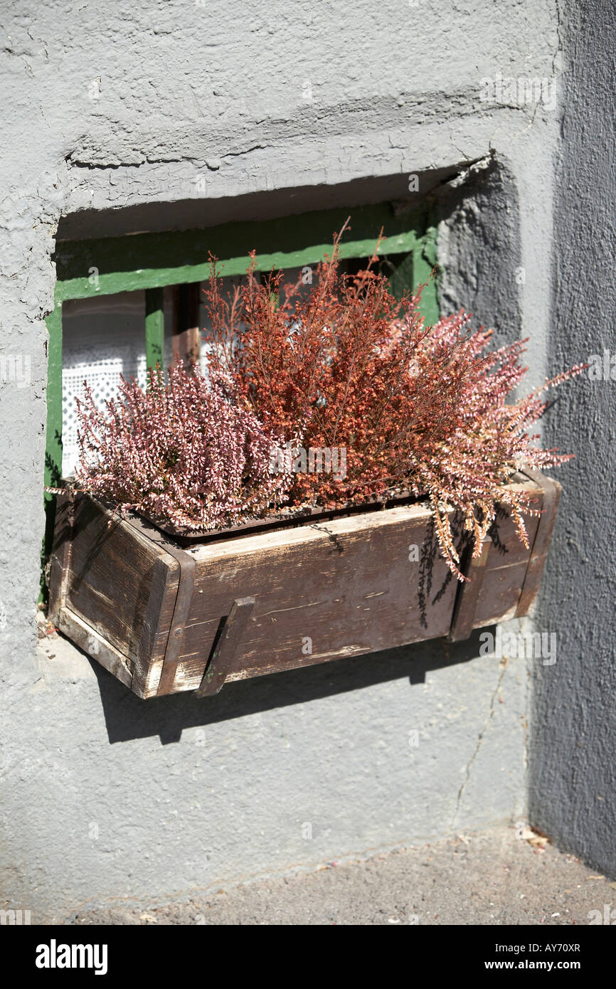 A very small window box Stock Photo - Alamy
