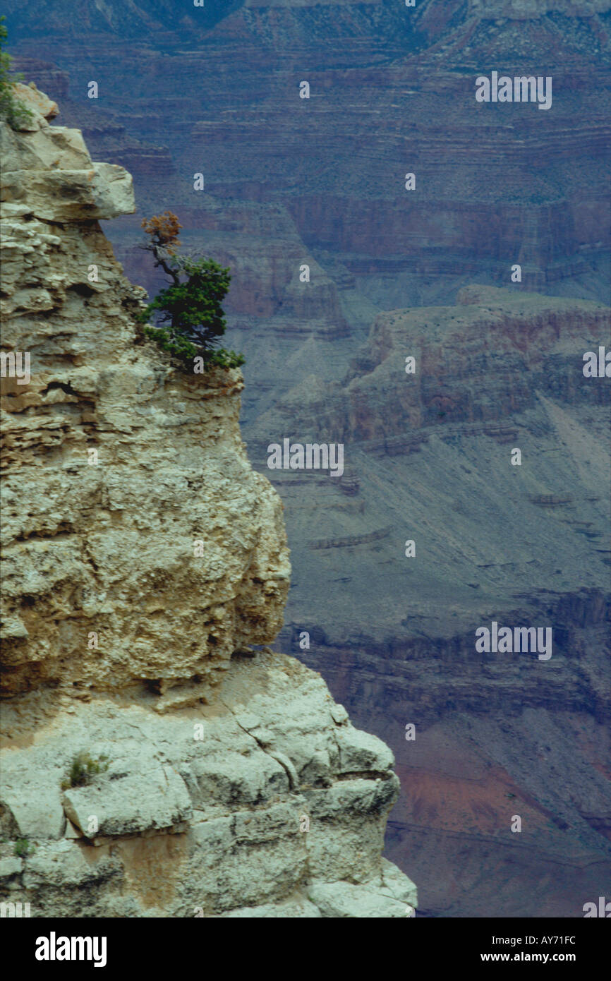 Grand Canyon viewpoint Stock Photo - Alamy