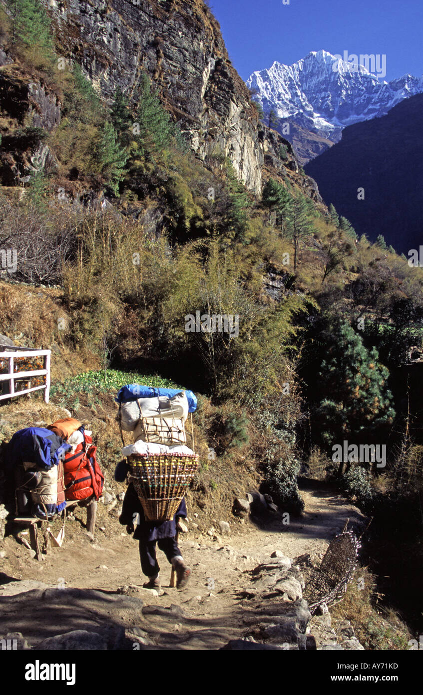 Heavily laden porter in the Everest Region of the Himalaya Nepal Stock ...