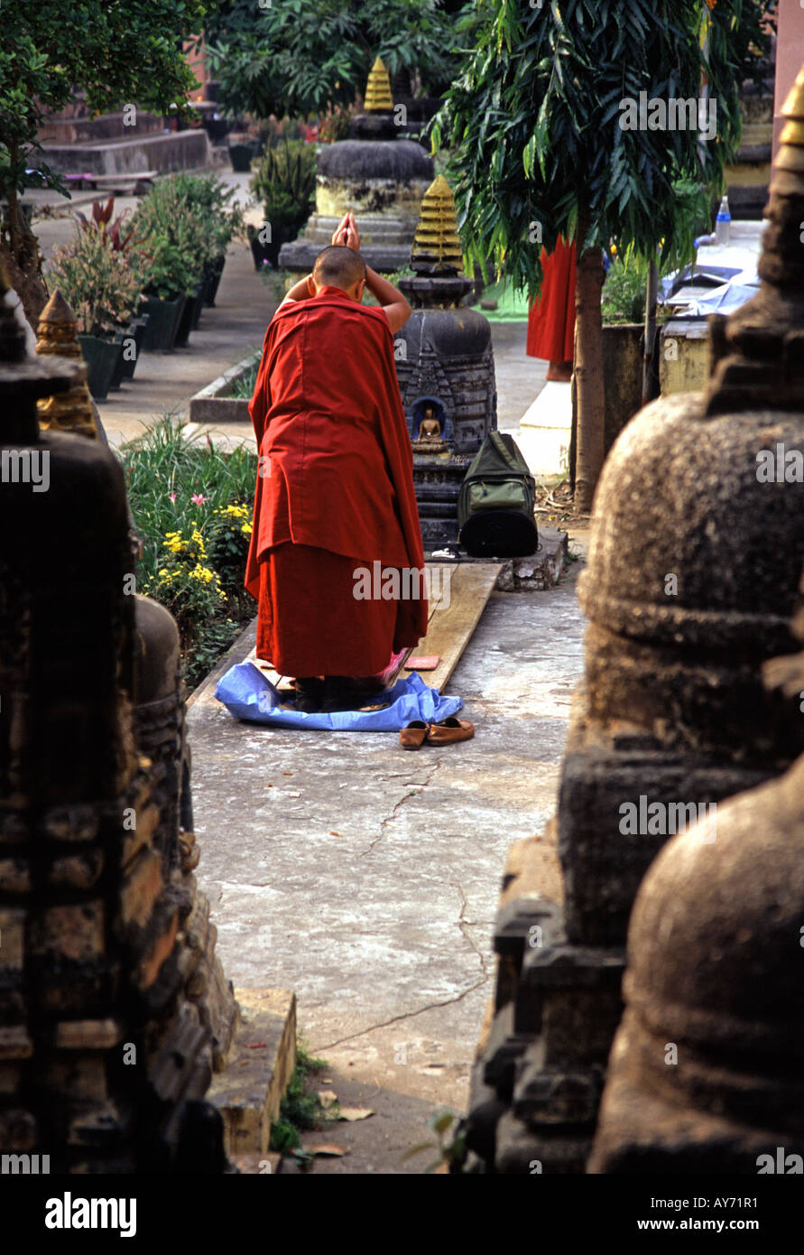Buddhist monk praying at the Mahabodhi temple at Bodhgaya in India ...