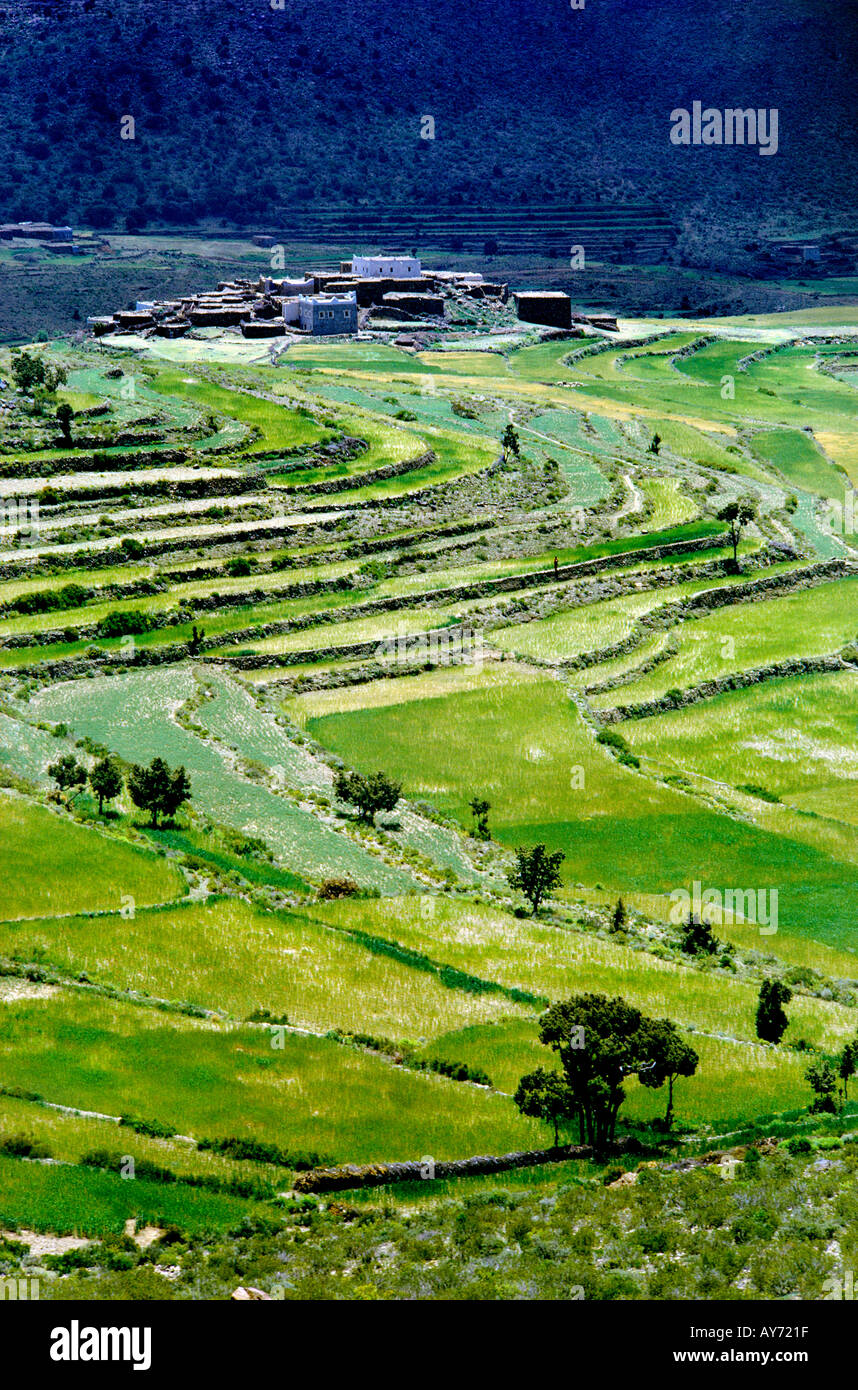 Asir Saudi Arabia Fertile Countryside Stock Photo - Alamy