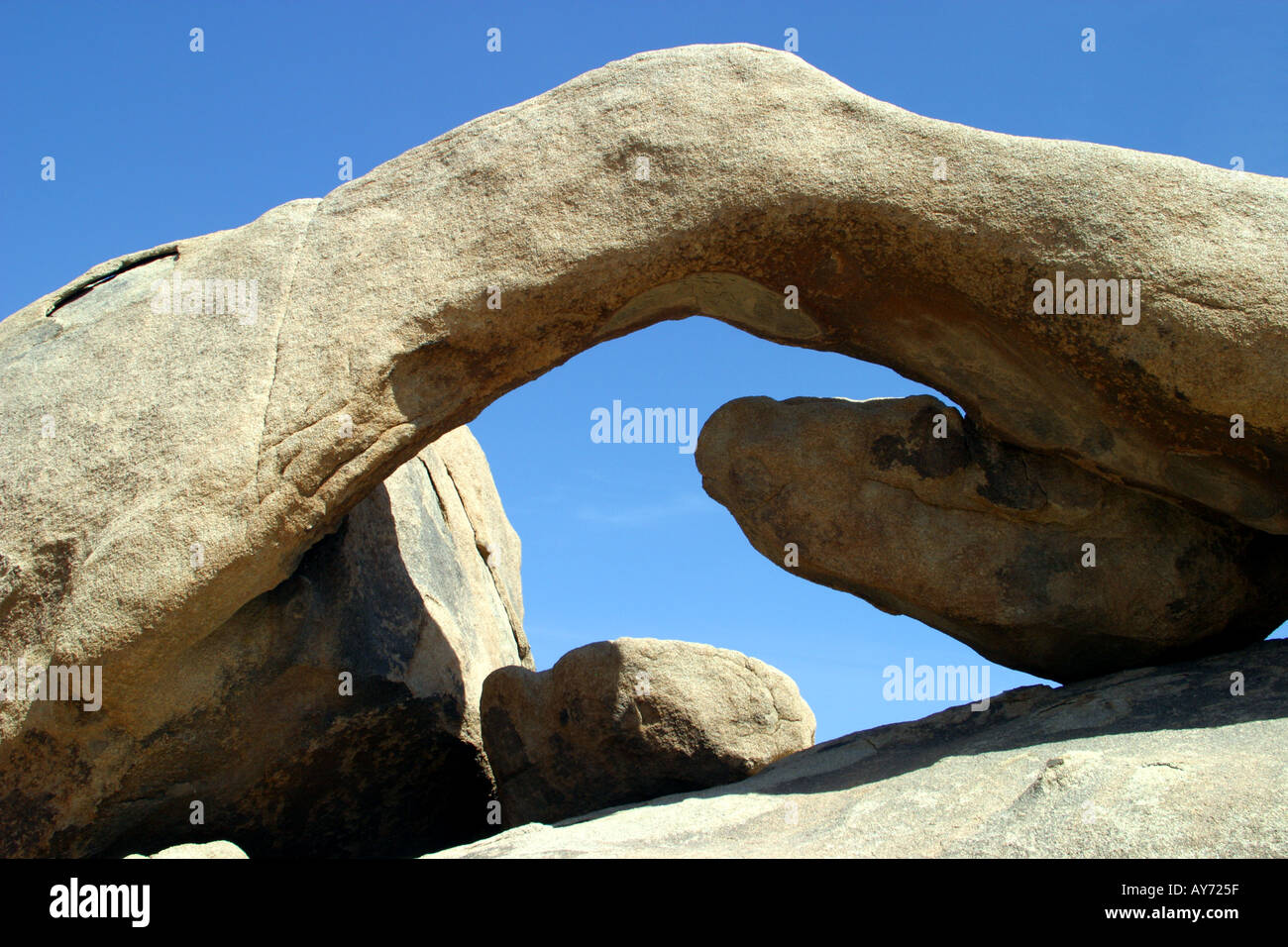 Arch rock in joshua tree hi-res stock photography and images - Alamy