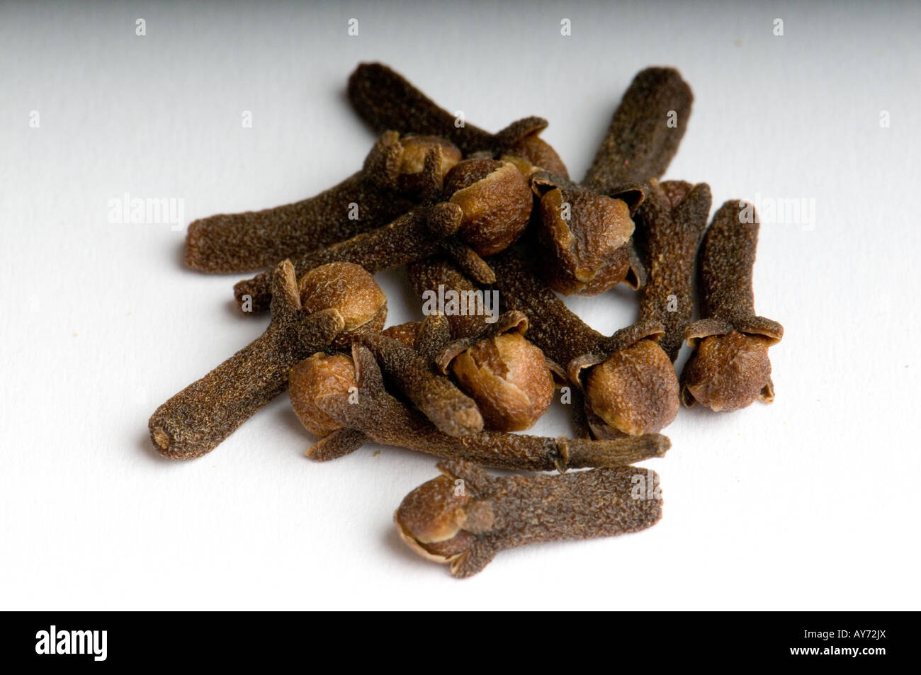 Macro photo of small pile of cloves from Zanzibar Stock Photo - Alamy