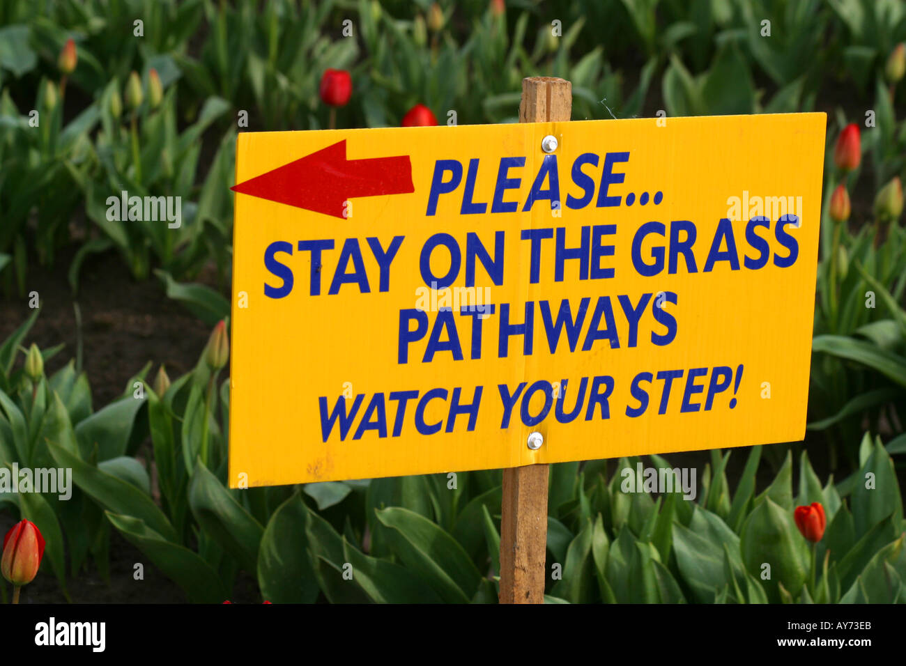 Warning sign to stay on pathways in the tulip fields at Wooden Shoe ...