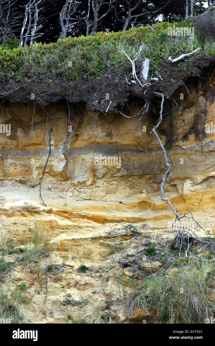 Undercuts hi-res stock photography and images - Alamy