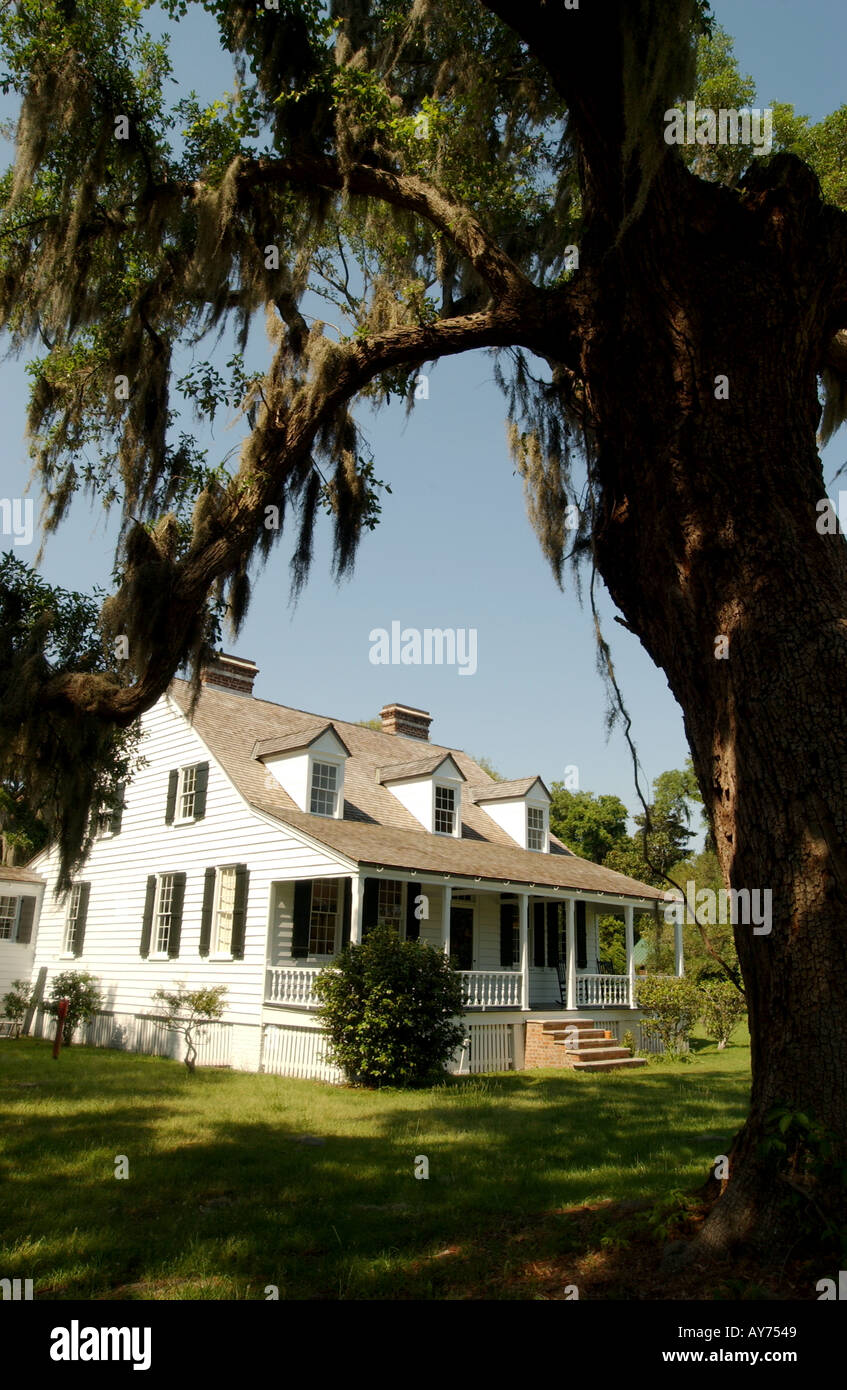 Vertical view of the Pinckney Plantation from tree on grounds in the ...