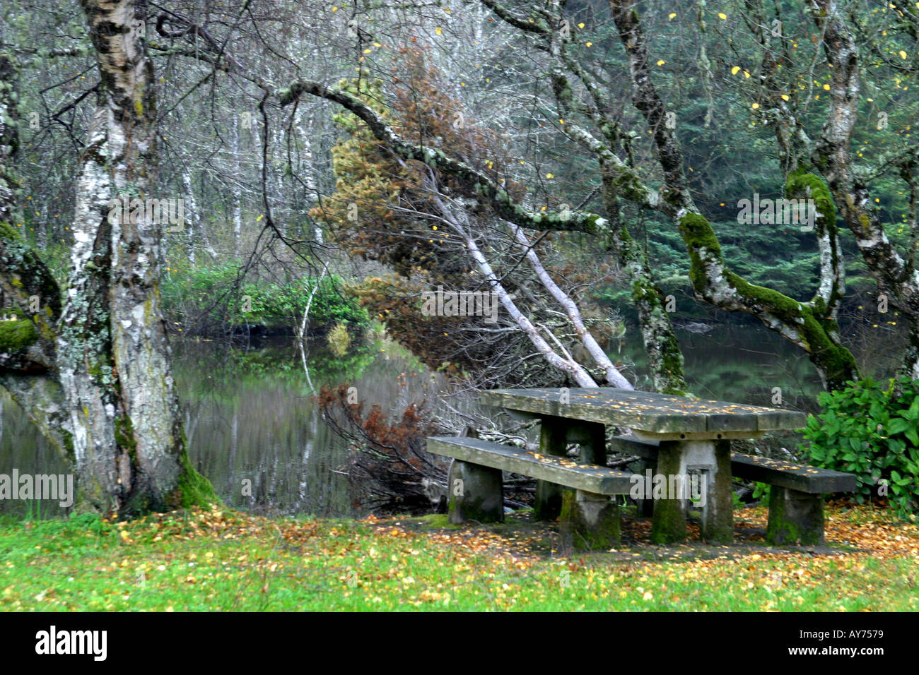 Abandoned roadside picnic table hi-res stock photography and images - Alamy