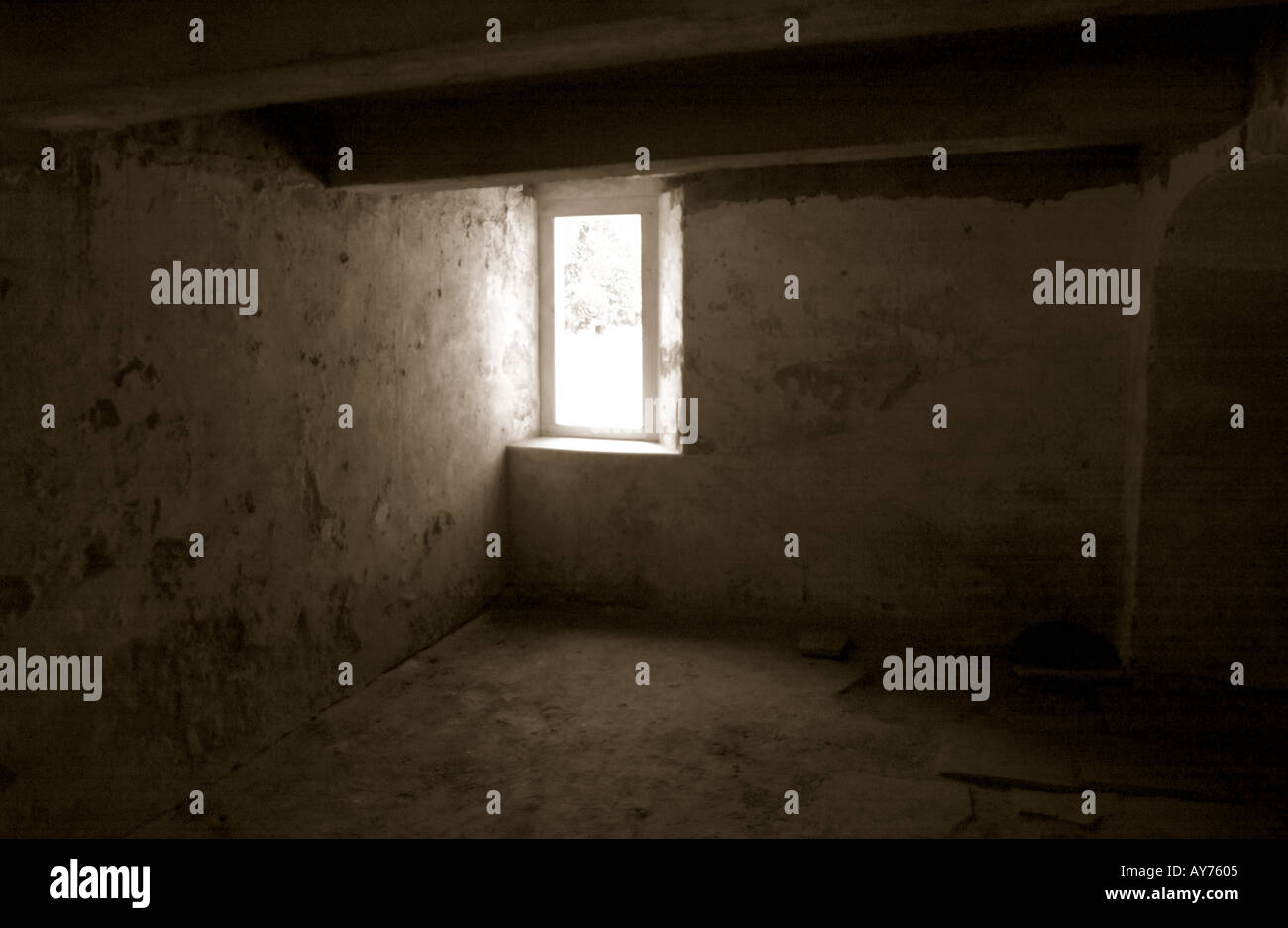 Black and white artitistic imagery of the basement of an old plantation ...