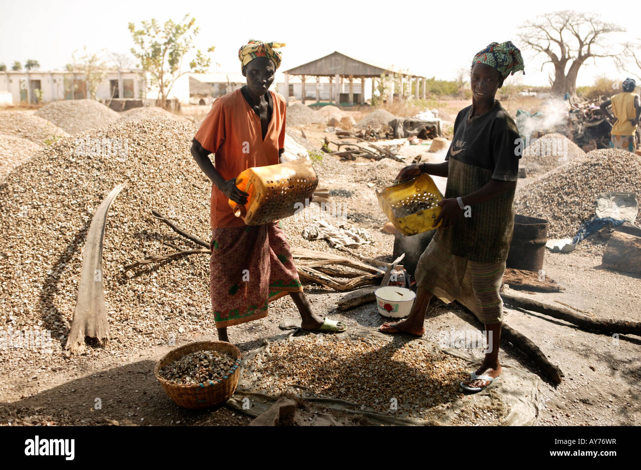 Shells africa hi-res stock photography and images - Alamy