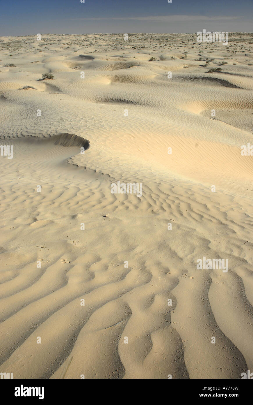 Desert of Douz Tunisia Stock Photo - Alamy