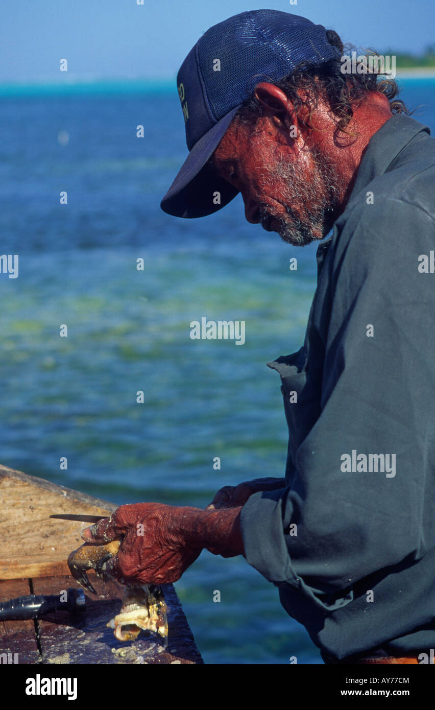 Man preparing conch sea food by the lagoon where the shells were ...