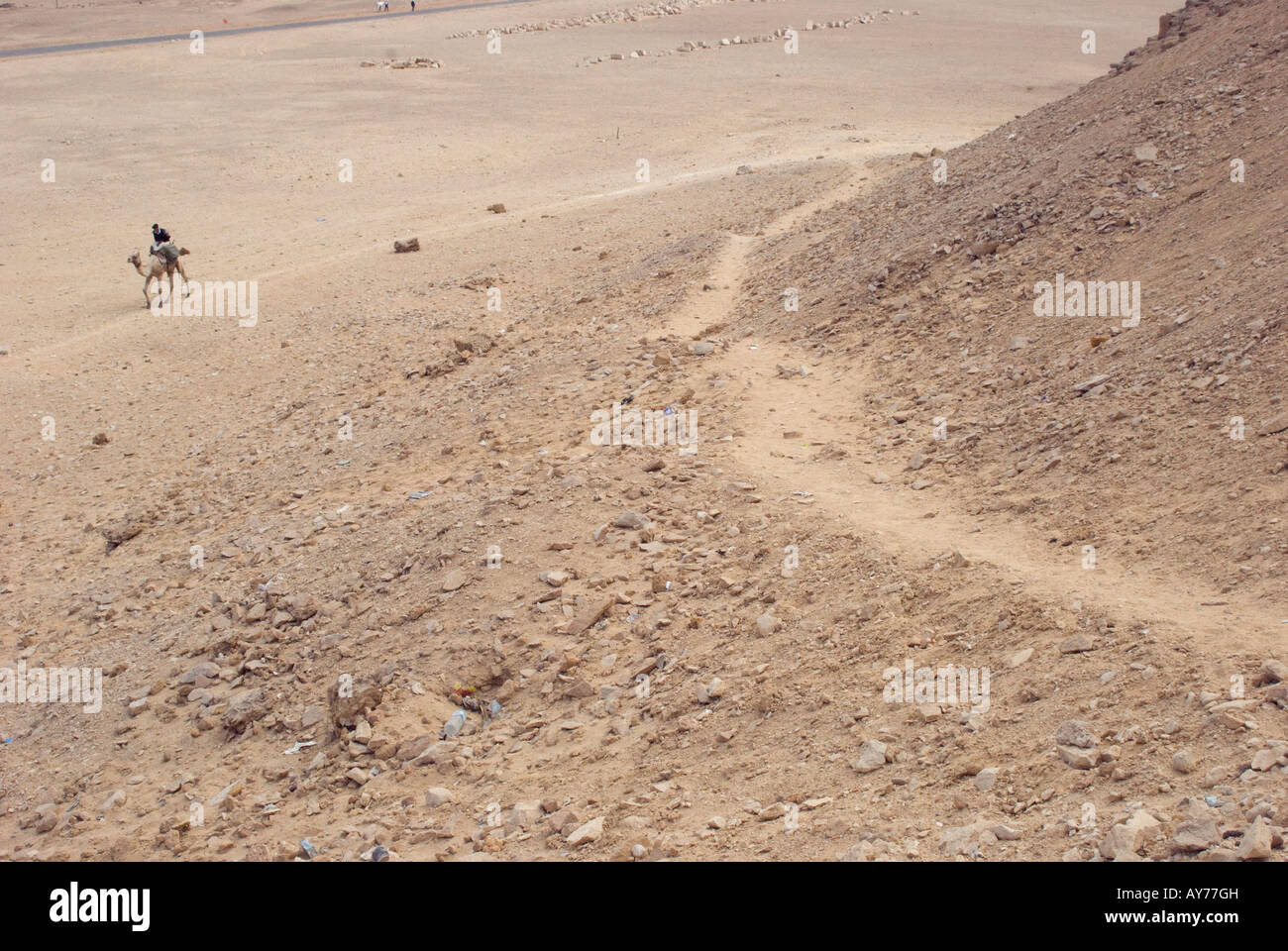 man on camel Stock Photo - Alamy