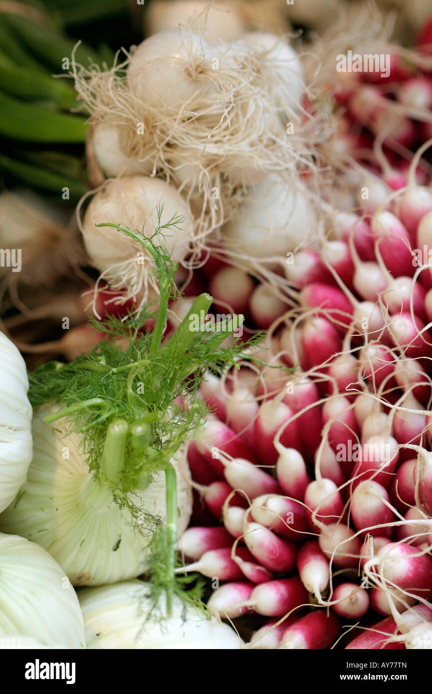 Radish, onion and garlic Stock Photo - Alamy