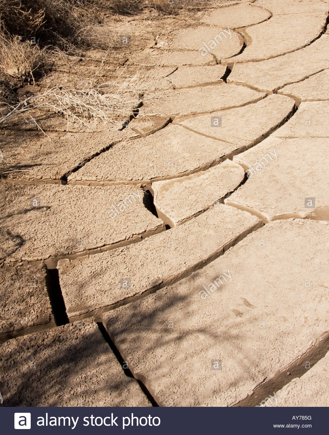 Desiccation High Resolution Stock Photography and Images - Alamy