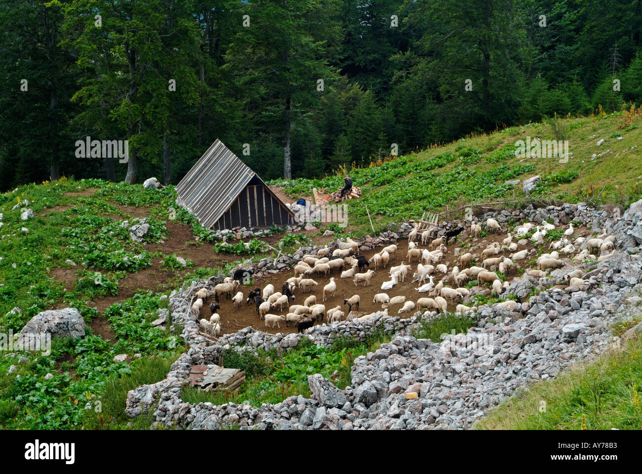 Maglic Bosnia High Resolution Stock Photography and Images - Alamy